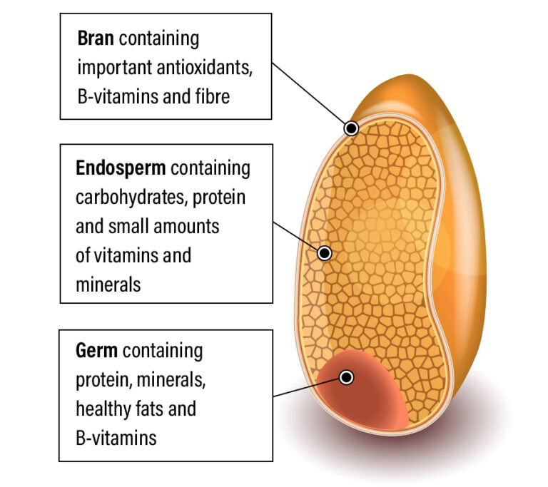 Wheat Basics - What About Wheat?